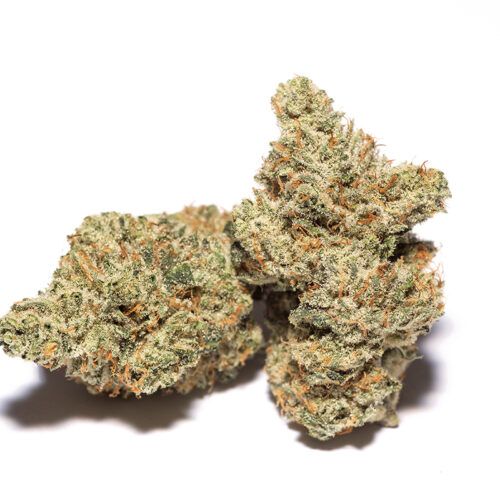 Flower - Greenlife Productions